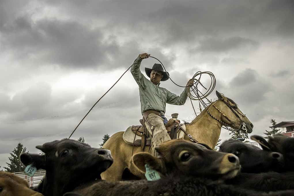 way of the west Barbara Bostock Photography